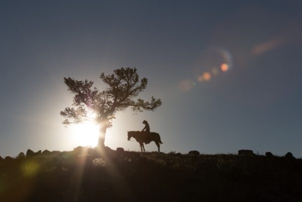 The 5 Best Reasons to Visit a Dude Ranch in Idaho | RHMR